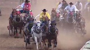 The Calgary Stampede–the rodeo that makes many cringe – RCI | English