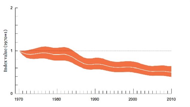 Marine life in crisis, world ocean disaster looming? – RCI | English