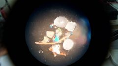 Microplastic invasion in Arctic – RCI | English