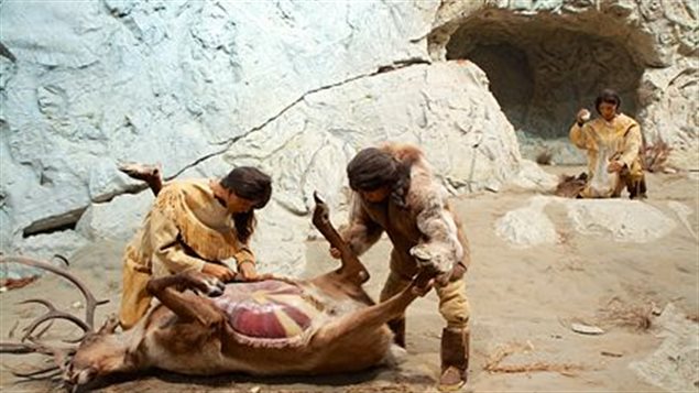 Las cuevas de Bluefish en Yukón revelan presencia humana 10 mil años ...