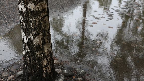 Record summer rainfall in central Finland, dry in Arctic – Eye on the ...