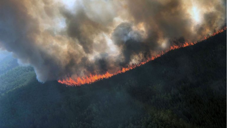 2019 Arctic wildfire season ‘unprecedented’ say experts – Eye on the Arctic